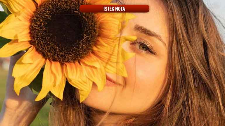 Nimet - Gitar - Nota - Tab » Gitareğitim.net